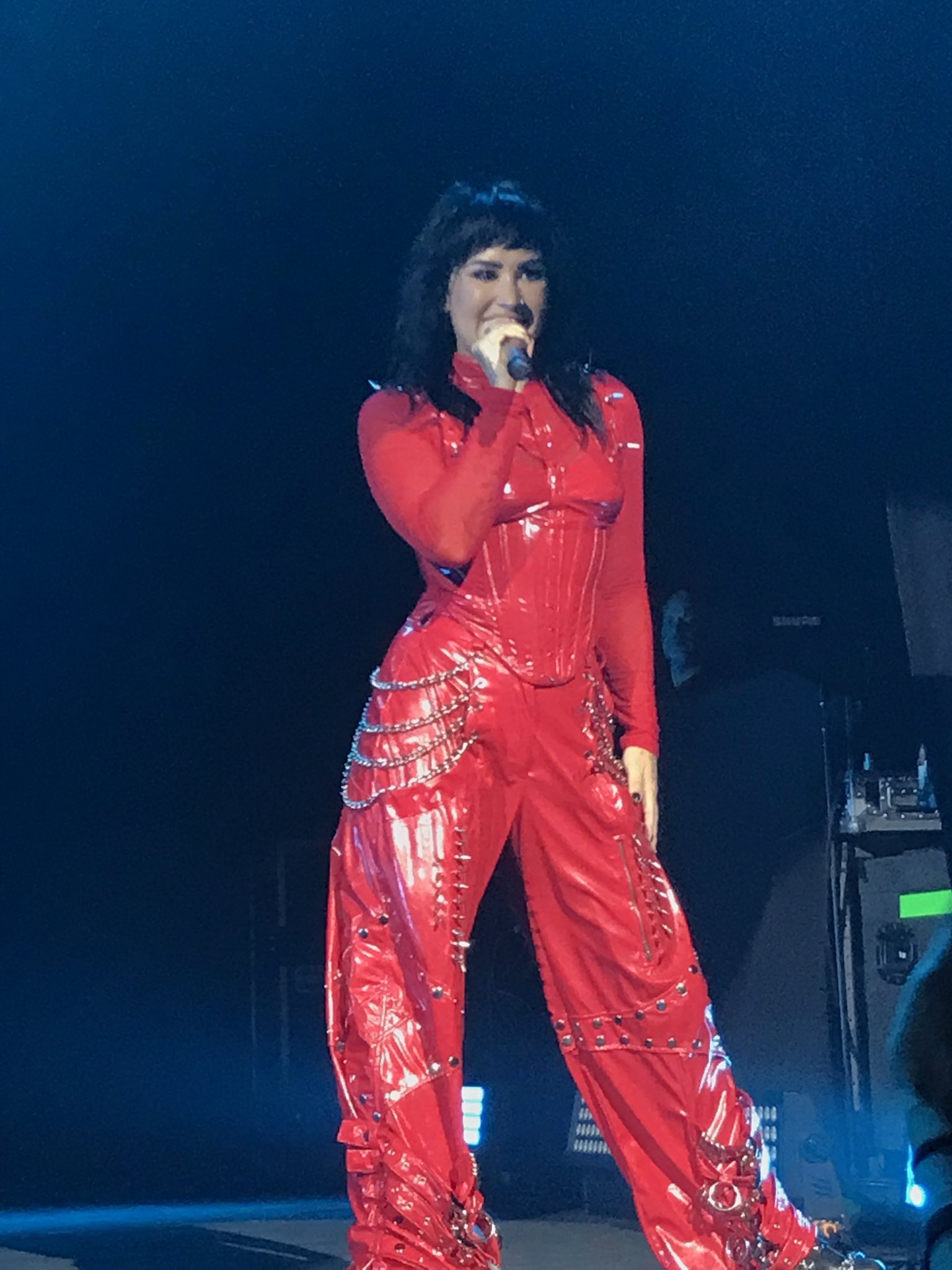 Demi Lovato faz show em SP; confira looks dos famosos