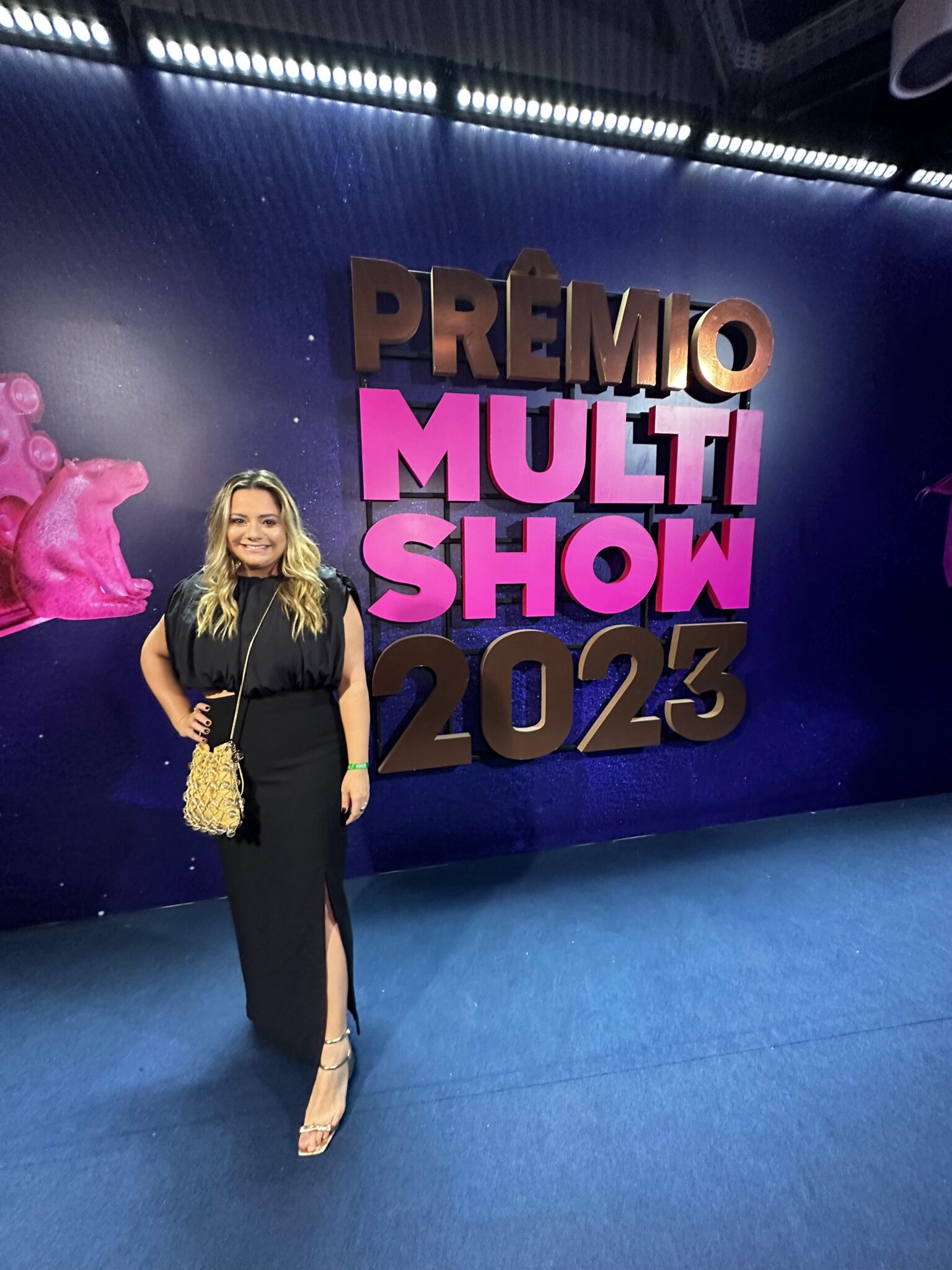 Integrante da academia do Prêmio Multishow, diretora da Capuchino Press ...