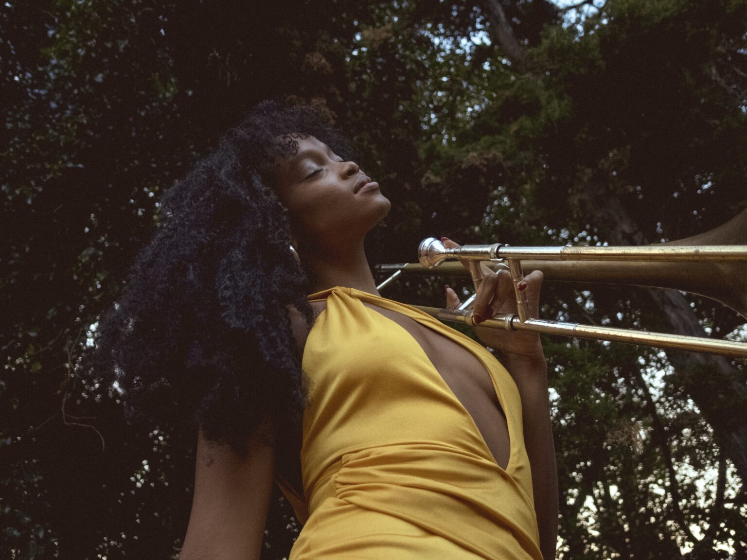 Festival Jazz & Blues 2025: confira a programação artística